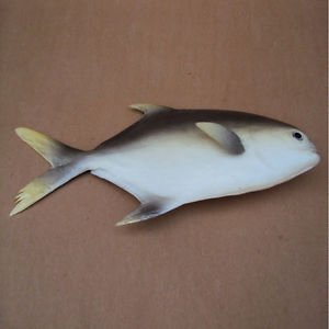 Imitation PU Tuna Model Artificial Fake Food Props Store Performance ...