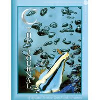 C - The Journal Volume 2, Number 2: Anthony Calfo: 9780971637177 ...