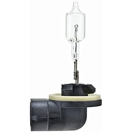 Amazon.com: HELLA 893 Standard Halogen Bulb, 12 V, 37.5W, Multi ...