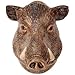 Amazon.com: Quail Ceramics Wild Boar Wall Vase : Home & Kitchen