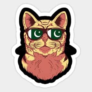 Amazon.com: Stickers Vinyl Pakistan Flag Pakistani Cat Sunglasses Funny ...
