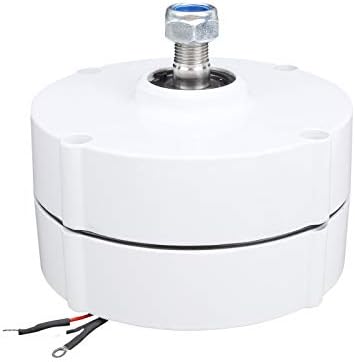 Amazon.com: YWBL-WH Dynamo,100W Three-Phase Alternator NE-100 12V Wind ...