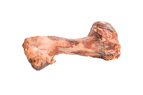 Riesen Hundeknochen – Die 15 besten Produkte im Vergleich ...