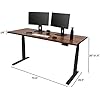 Amazon.com: Stand Up Desk Store Solid Wood Top Electric Adjustable ...