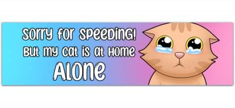 Amazon.com: Sorry for speeding! But my cat is at home alone! Bumper ...