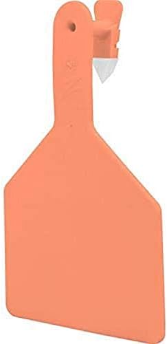 Amazon.com: DATAMARS 9053601/53601 288224 Z Blank Ear Tags, Orange ...