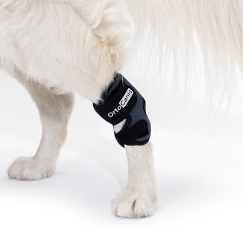 Ortocanis - Hock Support for Dogs with Osteoarthritis, Ligament ...