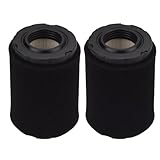 BRIGGS-STRATTON 590825 - Cross reference air filters