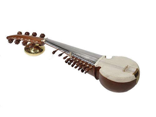 PAL MUSIC HOUSE VERY RARE INDIAN BASS SAROD : Amazon.in: Musical Instruments