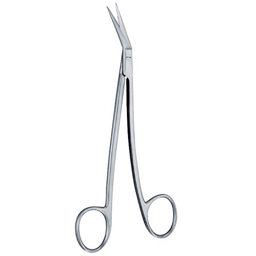 Amazon.com: Locklin Angular Scissors, 1 Blade Serrated, 16cm/6.25 ...