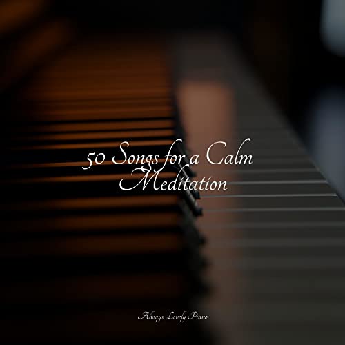 50 Songs for a Calm Meditation : Chakra Balancing Sound Therapy, Piano ...
