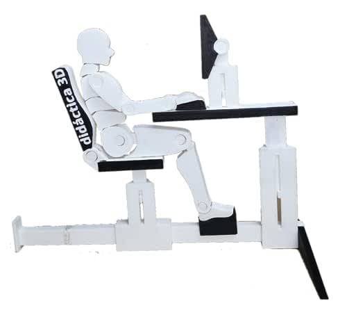 Amazon.com: Didactica3d, Ergonomic workstation setup, Demonstration ...