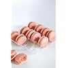 Amazon.com: Vend Exchange Clear Plastic Macaron Containers - Fits 12 ...
