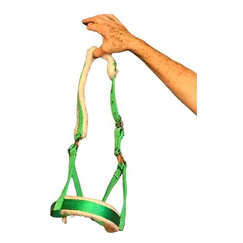 Amazon.com: Padded Cattle Halters Bull Cow Yearling Calf Newborn (Calf ...