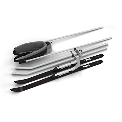 Thule Ski Rack – The 15 best products compared - Your Motor Guide