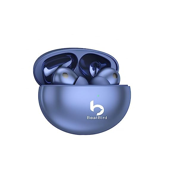 BeatBird - AirBird XY70 True Wireless in Ear, Playback up to 30 Hours ...