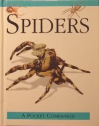Spiders ( A Pocket Companion): Rebecca Kingsley: 9781840131444: Amazon ...