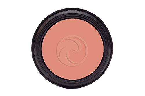 6 Best Vegan Blushes for a Stunning Face (2021) | VegByte