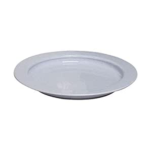 Amazon.com | Inner Lip Plate, 9 inch Diameter, Light Blue Speckle ...