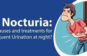 Buy Nocturia Nighttime Urination Relief Supplement Book Online at Low ...