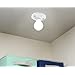 Legrand - Pass & Seymour - Keyless Lamp Socket, Ceiling Mount Lamp ...