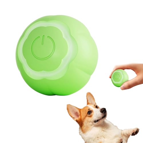 Interactieve bal voor honden – De 15 beste producten vergeleken - Wild ...