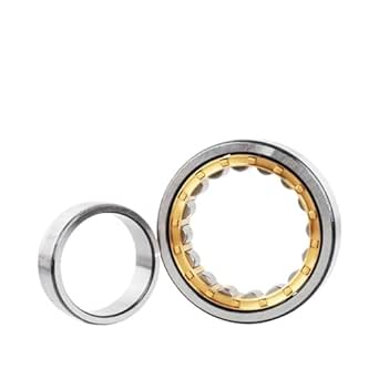 GOMGTK 1 Pcs Cylindrical Roller Bearing Nup 203 204 205 206 207 208 209 210 211 212 213 214 215 ...