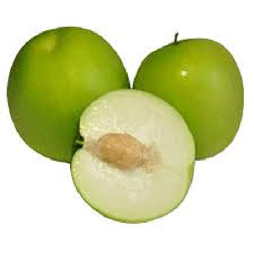 Fresh Apple BER, 500 g : Amazon.in: Grocery & Gourmet Foods