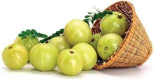 All Season Rear Dwarf Amla Plant(Pack Of-1) Hybrid Indian Gooseberry ...