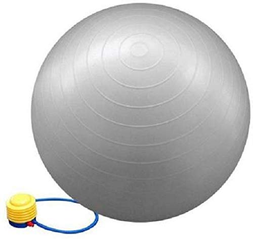 Buy Patel brand Exercise Ball Professional Grade Anti Burst Exercise ...