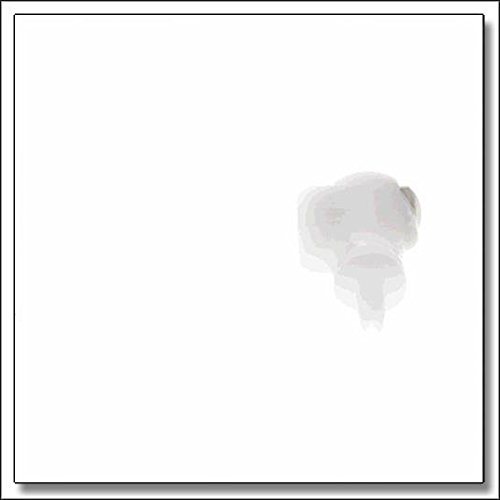 Amazon.com: Franke Foodservice Systems, Inc 1555288 MILK TUBE ...