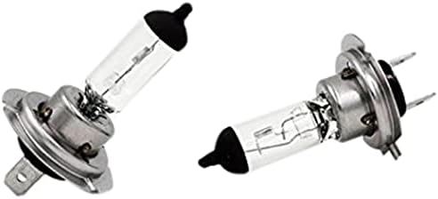 MSA H10w Angel Eye Halogen Clear Parking Light Ba9s 10w Bright White ...