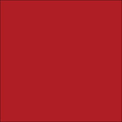 Amazon.com: Adhesive Backed Vinyl Sheets Oracal 651 - Size 12" x 5 ...