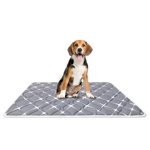 Mats for Dogs – The 15 best products compared - Wild Explained