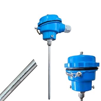 VIGITAL -RTD (PT100-SIMPLEX) HEAD TYPE SENSOR WITH 6MM DIA, 1/4 BSP FIX ...