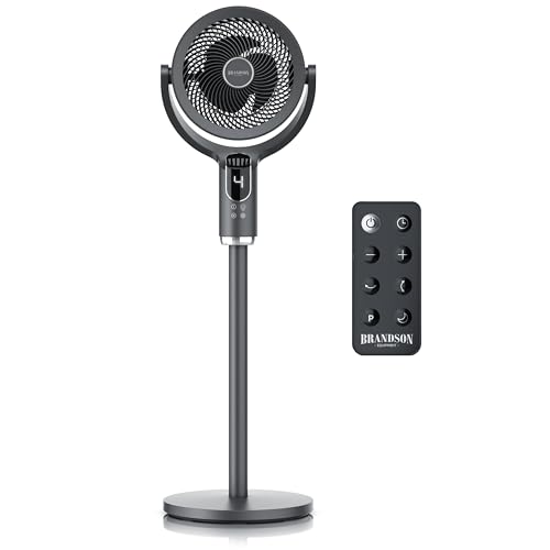 Amazon.de Best Sellers: The most popular items in Fans