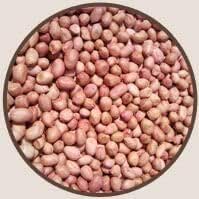 Pure & Natural Soya Beans – High Protein Superfood for Cooking & Health ...
