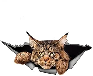 Amazon.com - 13cmx6.1cm Maine Coon Car Sticker Torn Metal Decal ...