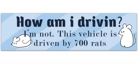 Amazon.com: How's my Driving - Being Driven by 700 Rats Bumper Sticker ...
