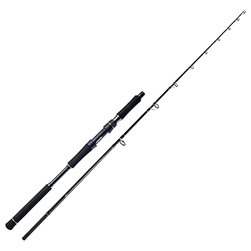 Find The Best Deep Vertical Jigging Rod Reviews & Comparison - Katynel