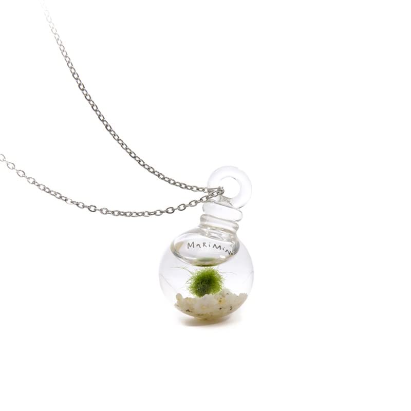Collana Marimino® Elegance con Fondale Bianco – Logo Marimino - Marimo : Amazon.it: Prodotti ...