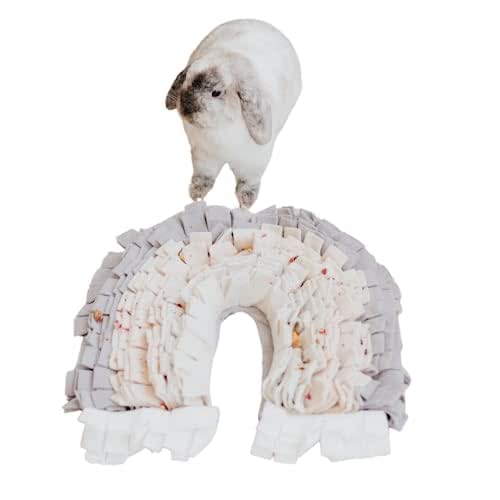 Amazon.com: Poppyseed Paws Original Rainbow Forager Snuffle Mat ...