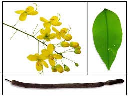 Vedic Aragvadha Powder-200 Gram Pack. A Herbal Remedy With Multiple ...