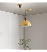 Aeyee Industrial Pendant Light Fixture, Swing Arm Hanging Light ...