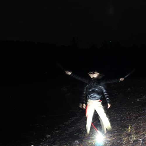 Amazon MusicでMeerkのWandsを再生する