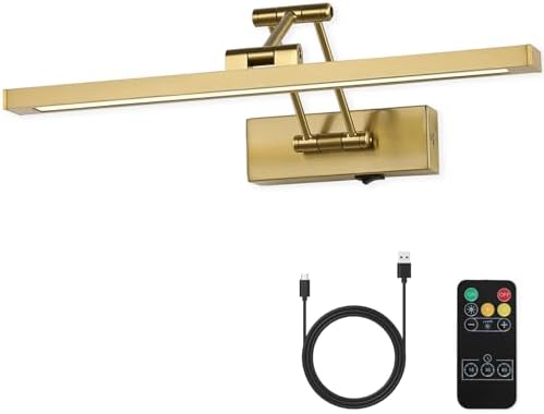 DESOOP Battery Operated Picture Light with Remote and Timer, Wireless ...