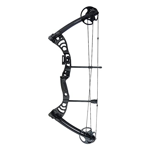13 Best Compound Bows To Choose From In 2023 - Outdoorsity
