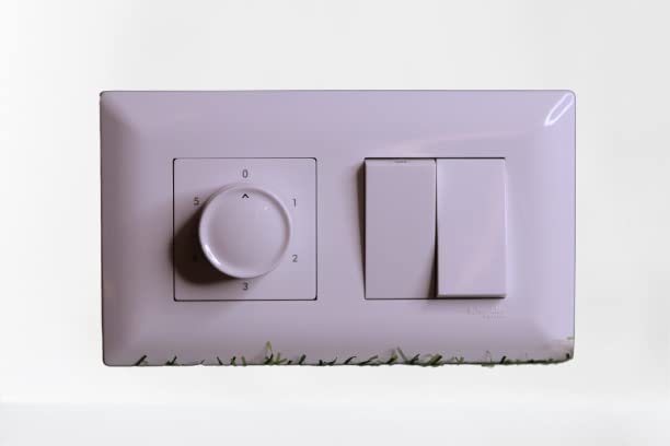 Schneider Electric - Livia White - For fan - anywhere ~ 2 (6A) X 2 way ...