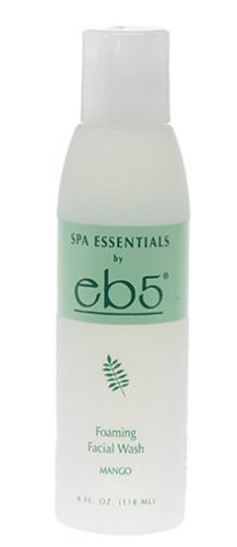 Amazon.com : eb5 Foaming Facial Wash (4 Ounces) : Facial Cleansing ...