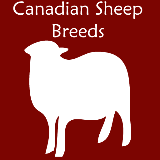 Canadian Sheep Breeds - App on Amazon Appstore